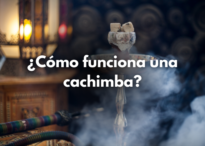 Que es una cachimba, cómo funciona y que significa ser cachimbero ...